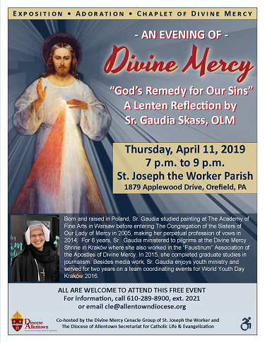 An Evening of Divine Mercy - "God's Remedy for Our Sins" | Roman ...